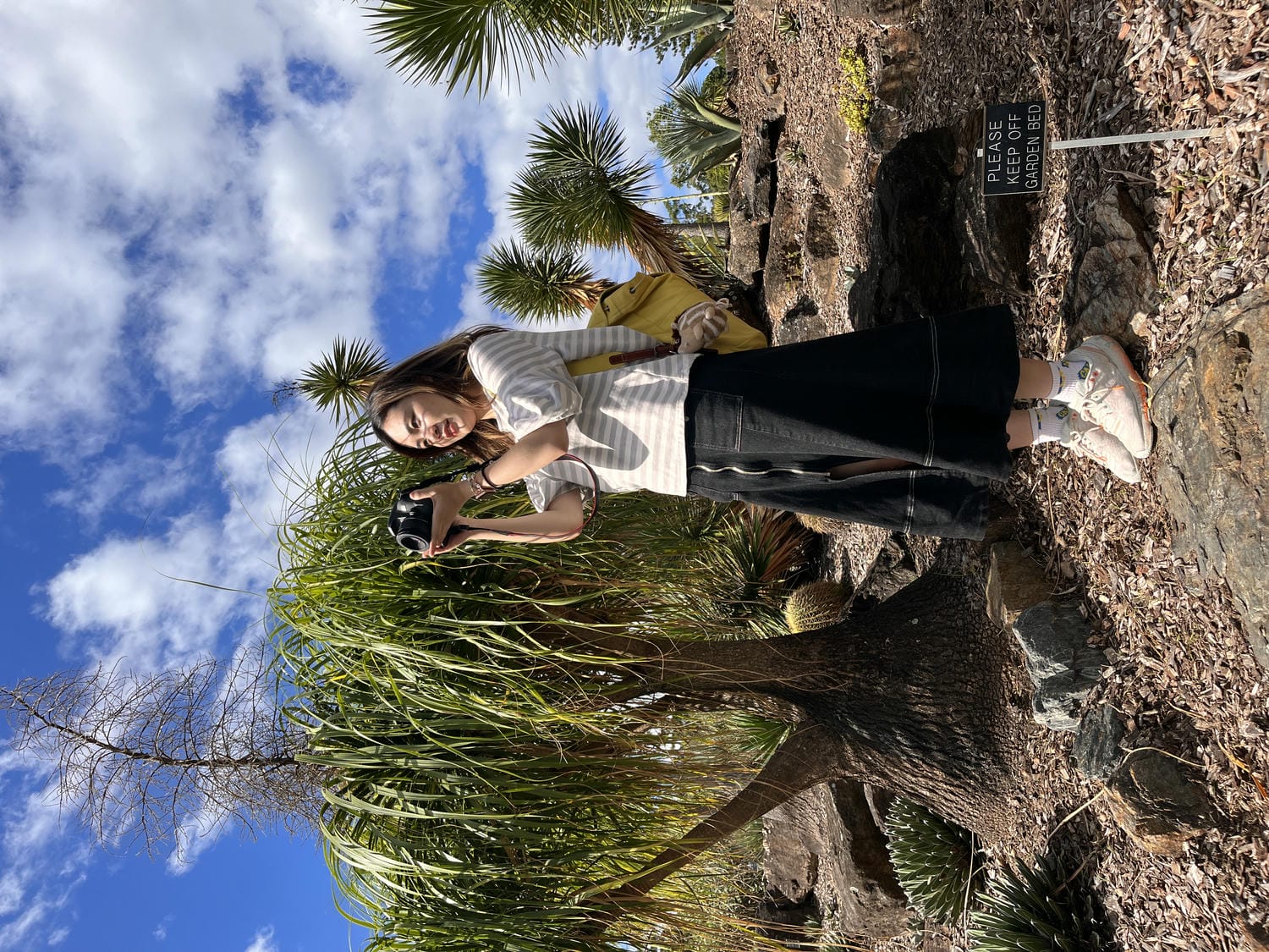 布里斯本庫薩山之旅Mount Coot-tha 釋放壓力必來！漫步綠色隧道與大自然生活