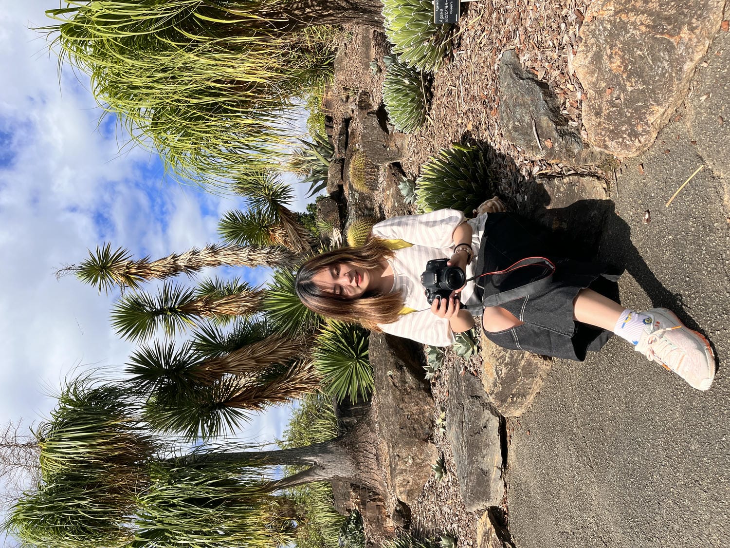 布里斯本庫薩山之旅Mount Coot-tha 釋放壓力必來！漫步綠色隧道與大自然生活